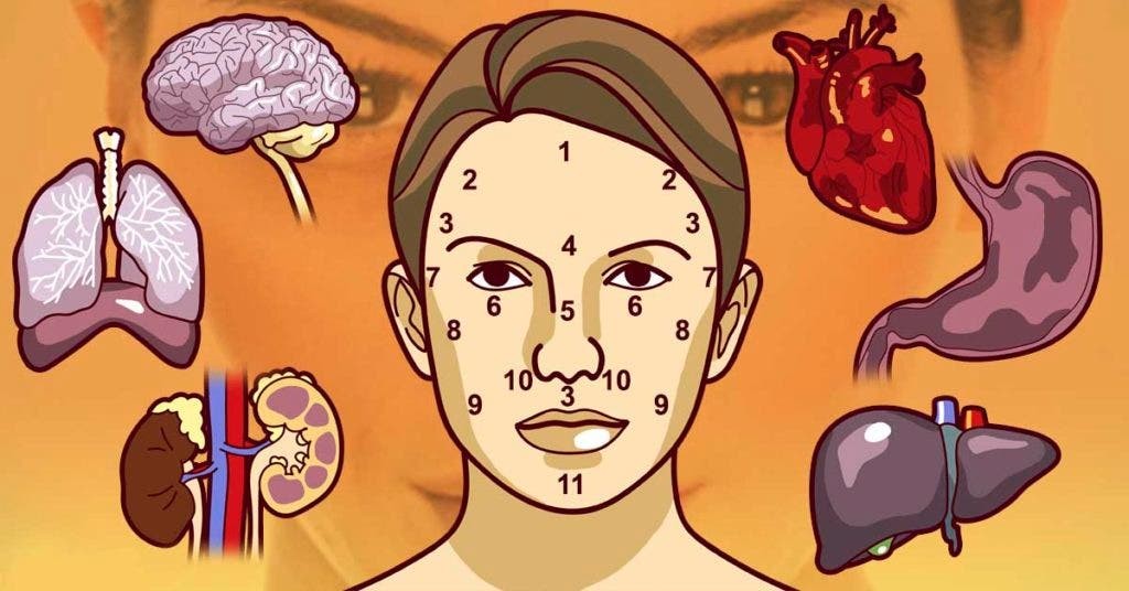 Chinese face map: you'll be surprised what problems on the face can ...