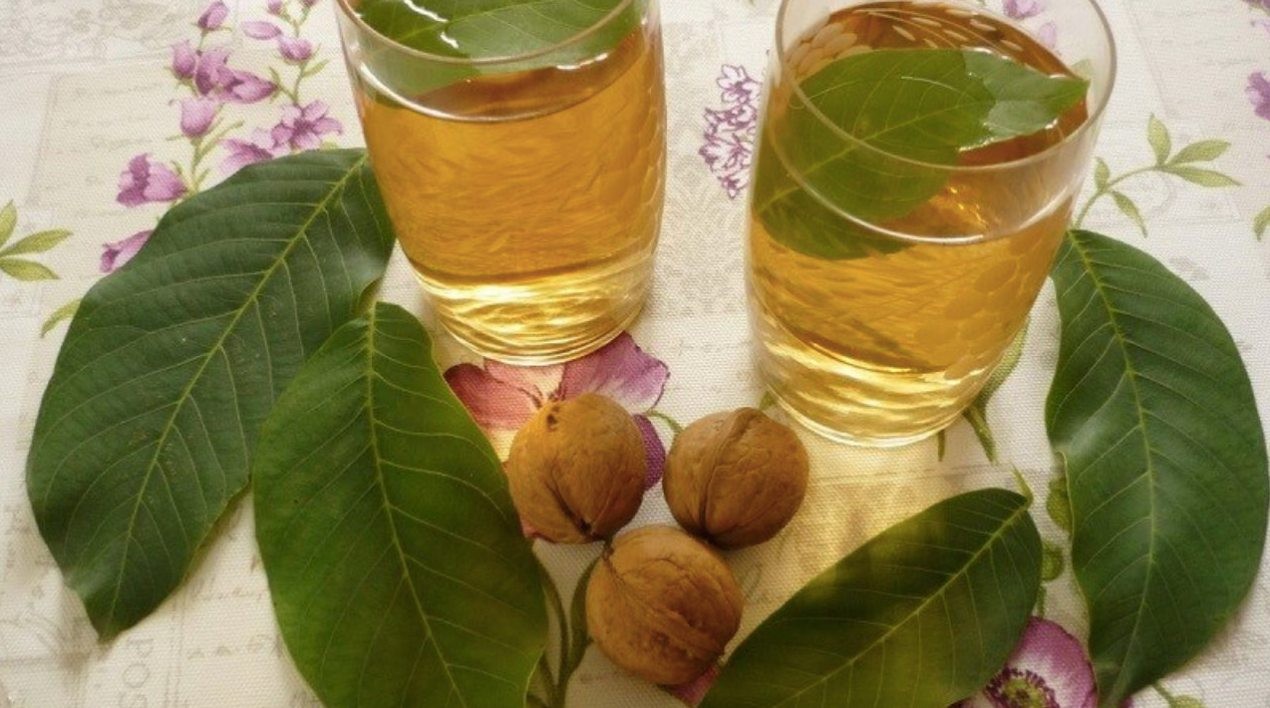 Do you have a walnut tree in your garden? This tea from walnut leaves ...