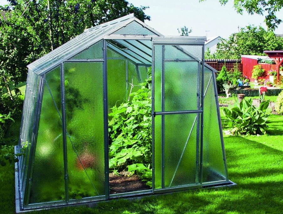 EVERY gardener must know THIS: 10 tips on how to care for your ...