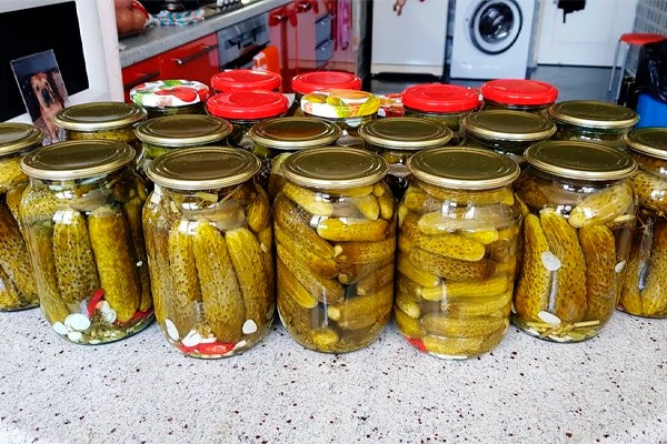 An excellent recipe for canning pickles from an old acquaintance in ...