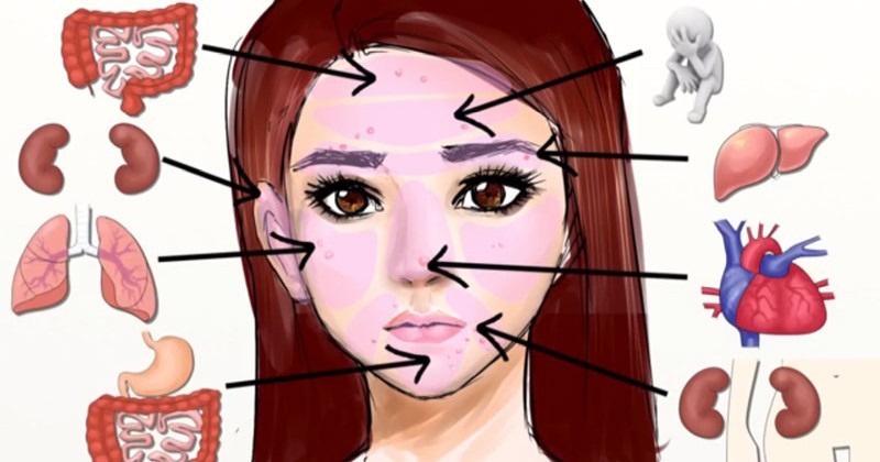 Diagnosis of health problems using the Chinese face map - i-Recipe