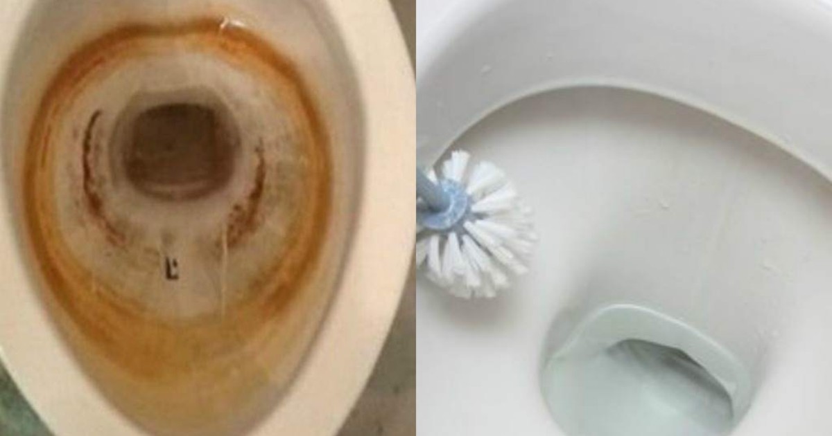 Limescale and staining on the bottom of the toilet bowl are a thing of ...