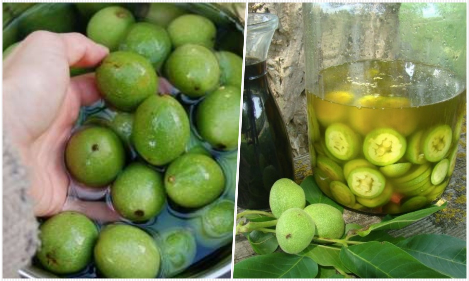 Green walnuts and honey - everyone who has a walnut tree in their yard ...