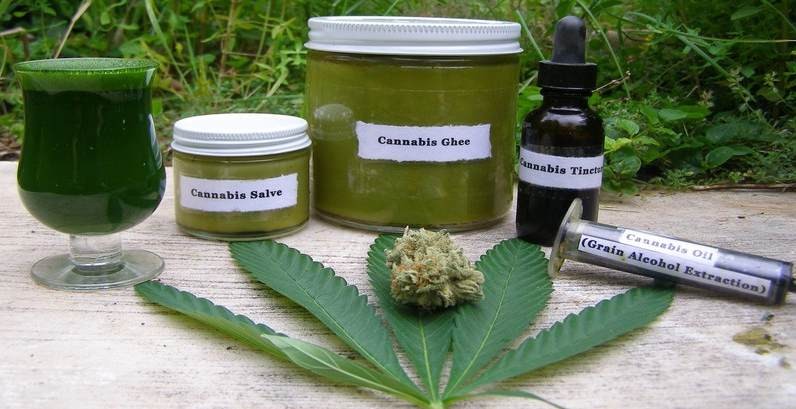 Cannabis cures cancer and government authorities have known it all ...