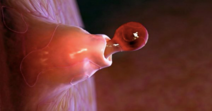 You should definitely not do these things during your period! 8 ...