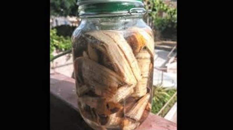 If you try this method, you'll never throw away a banana peel again ...
