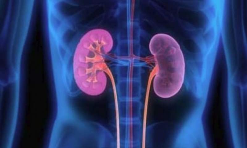 Frequent nighttime trips to the toilet? Find out how to get rid of them ...