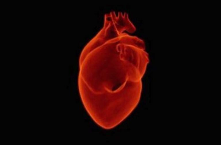 10 foods that clean the arteries and prevent heart attacks: How to keep ...