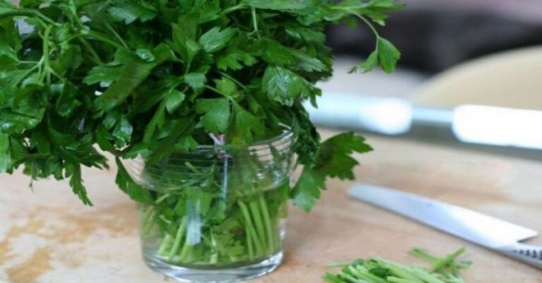 This herb will rid you of infection, urinary tract inflammation, and ...