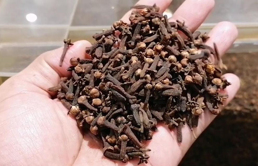 Why does my neighbor buy cloves every day? When I found out, I ...