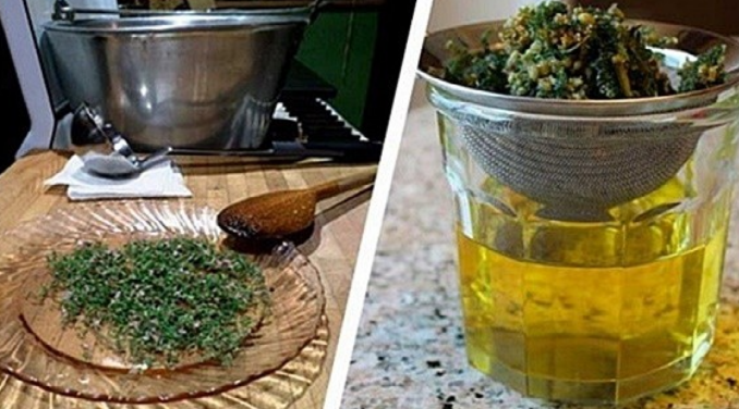 The best tea for your health: Thyme, an aid for arthritis, cholesterol ...